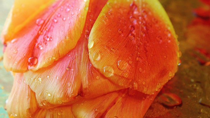 All you need to know about crying