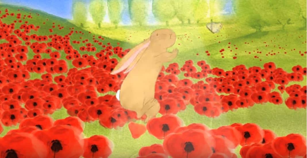 Poppies animation