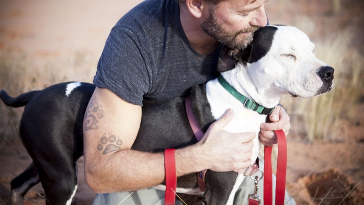 Therapy dogs for PTSD