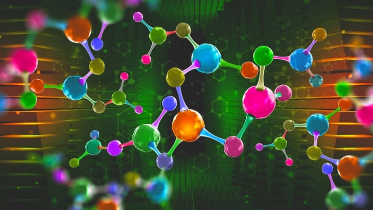 Long-lived parents produce better quality offspring