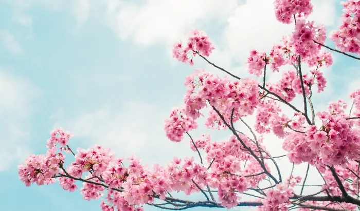 Mindfulness improves mental health of students