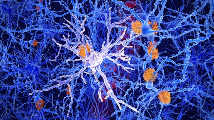 Alzheimer's Disease Risk Gene Impairs Function of Brain Immune Cells