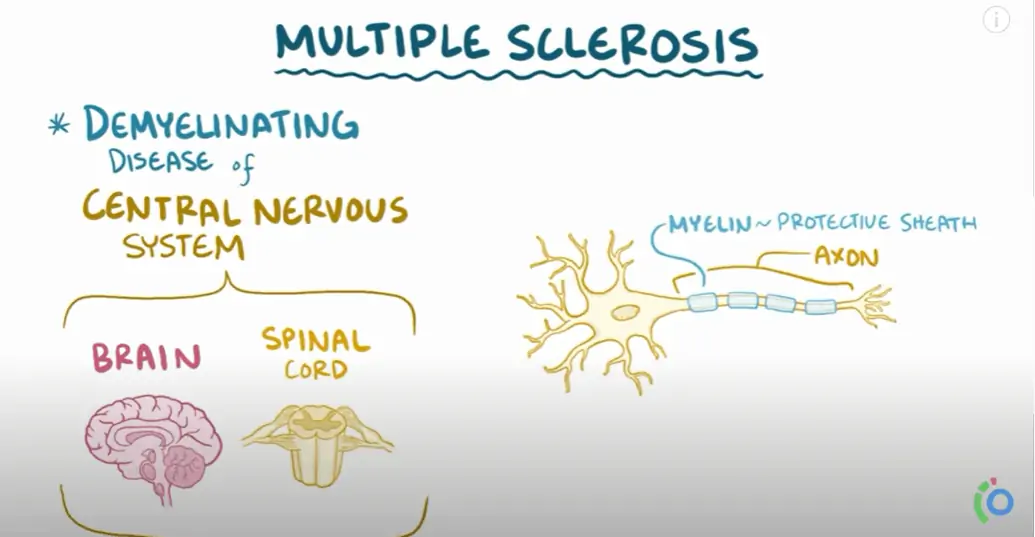 Multiple sclerosis - causes, symptoms, diagnosis, treatment, pathology