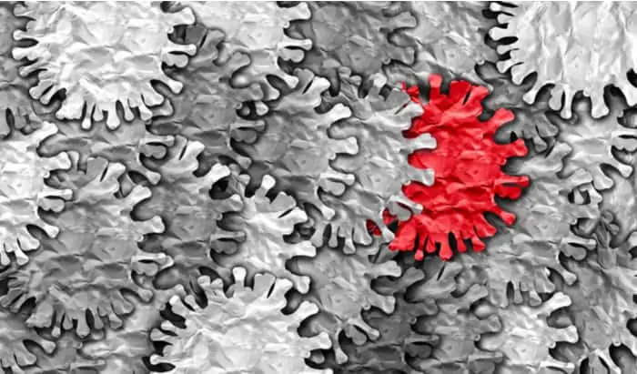 The E484K mutation - vaccine complications