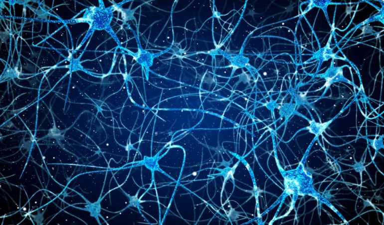 New understanding of how brain cells talk