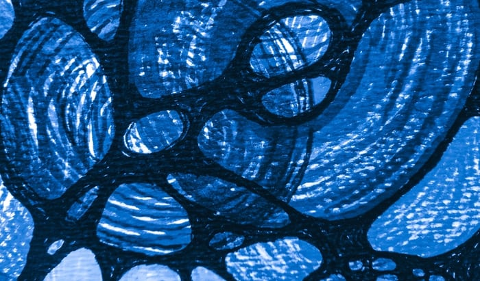 Five types of bacteria linked to aggressive prostate cancer