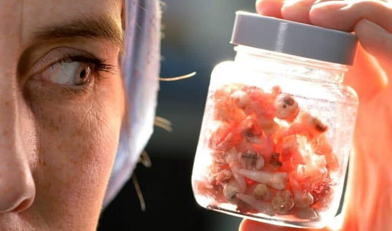 BSPD issues paediatric oral health Blueprint