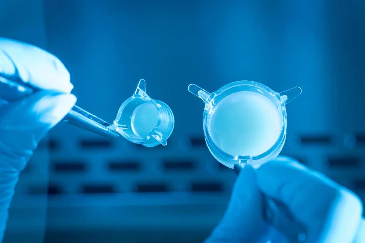 Lab-grown 'pigmented' skin commercially available for first time