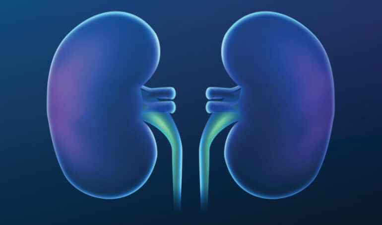 Renal hyperfiltration: the underestimated risk factor for mortality