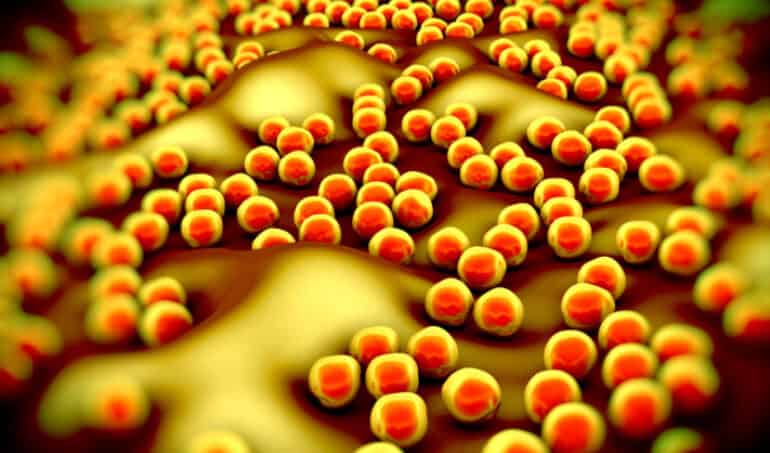 What makes Golden staph so dangerous for sepsis patients?