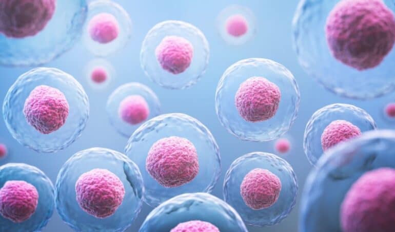 Stem Cell Breakthrough To Transform Transplants